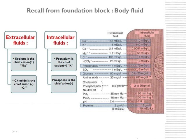 7-Renal regulation of body fluids.pdf