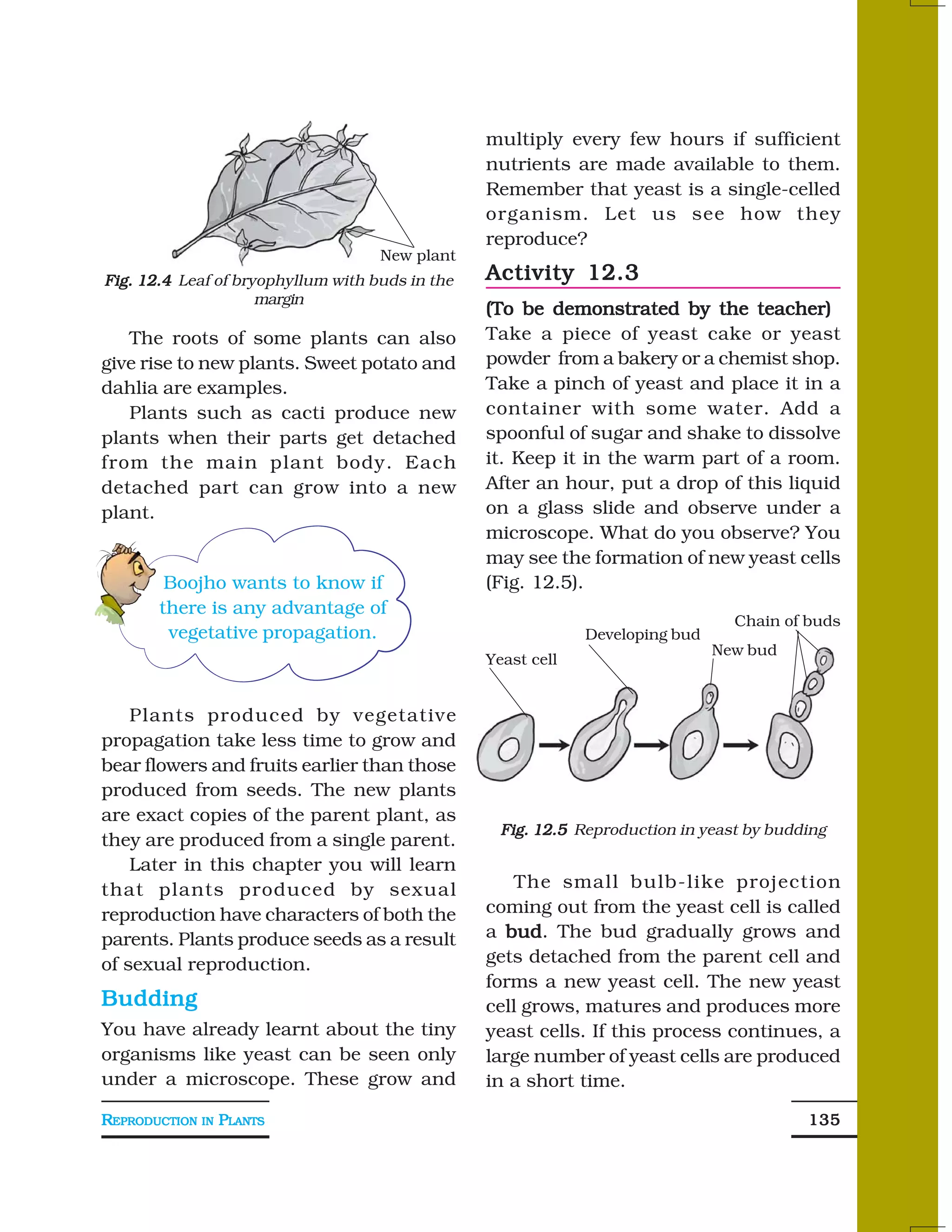 7 reproduction in plants | PDF