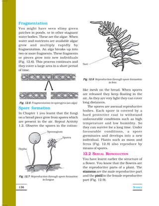 7 reproduction in plants | PDF