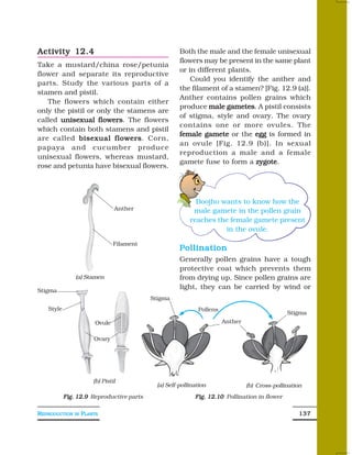 7 reproduction in plants | PDF
