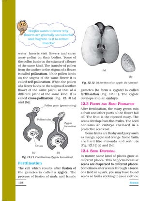 7 reproduction in plants | PDF