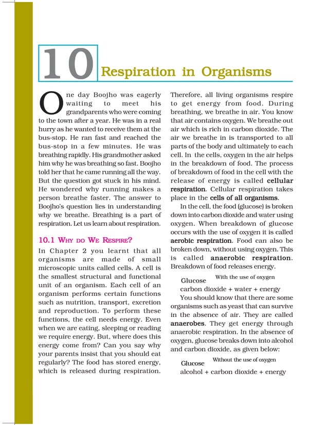 7 respiration in organisms | PDF