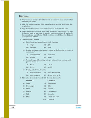 7 respiration in organisms | PDF