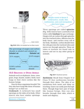 7 respiration in organisms | PDF