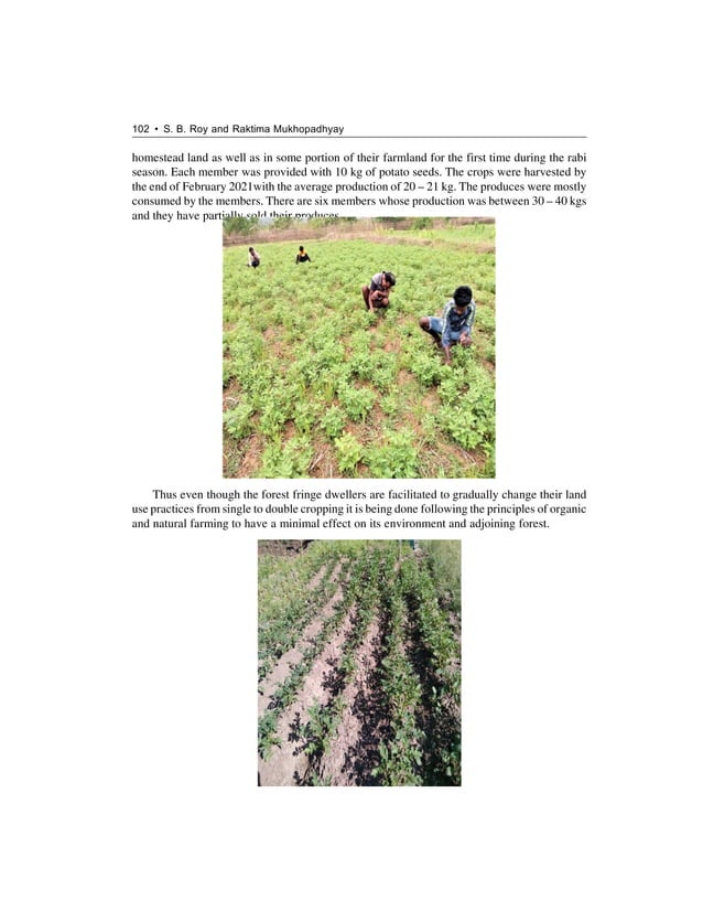 CONCEPTUAL FRAMEWORK FOR INITIATING FOREST MOSAIC INTEGRATED LANDSCAPE ...