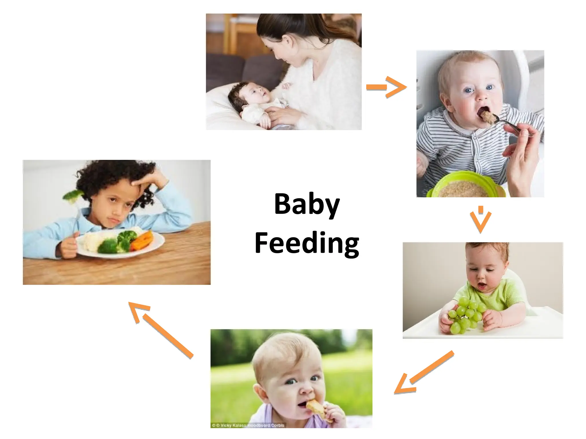 Introduction to Schema theory psychology presentation | PPT