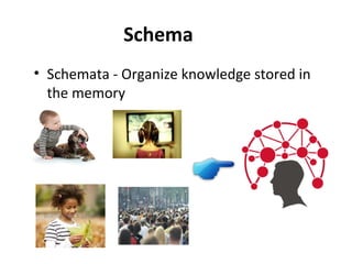 Introduction to Schema theory psychology presentation | PPT
