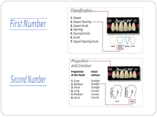 7 selection of teeth and esthetics in complete denture | PPT