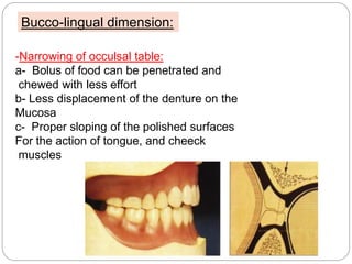 7 selection of teeth and esthetics in complete denture | PDF