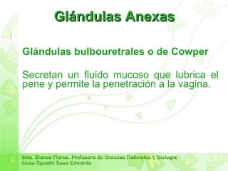 sistemas reproductores | PPT