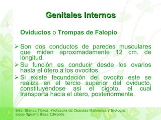 sistemas reproductores | PPT