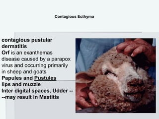 Pathology of Skin and Appendages | PPT