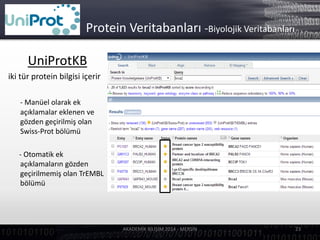 Biyoinformatik Çalışmaları ve Araçları | PDF