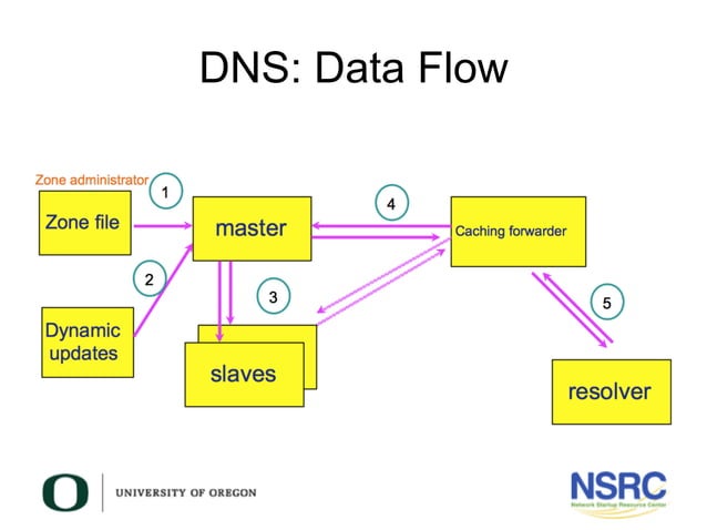 7 technical-dns-workshop-day3 | PPT