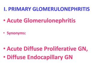 The KIDNEY: Acute Glomerulonephritis | PPT