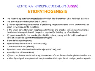 The KIDNEY: Acute Glomerulonephritis | PPT