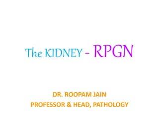 Rapidly Progressive Glomerulonephritis , RPGN, Crescentic GN ...