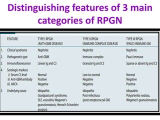 Rapidly Progressive Glomerulonephritis , RPGN, Crescentic GN ...