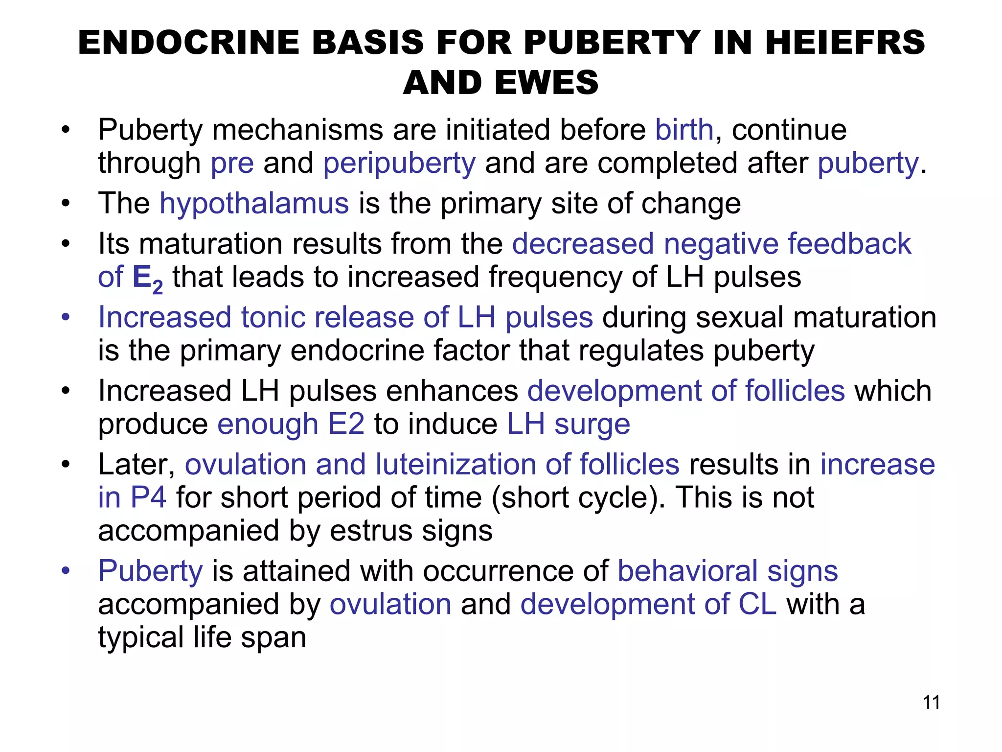7 ther 608 # puberty | PPT