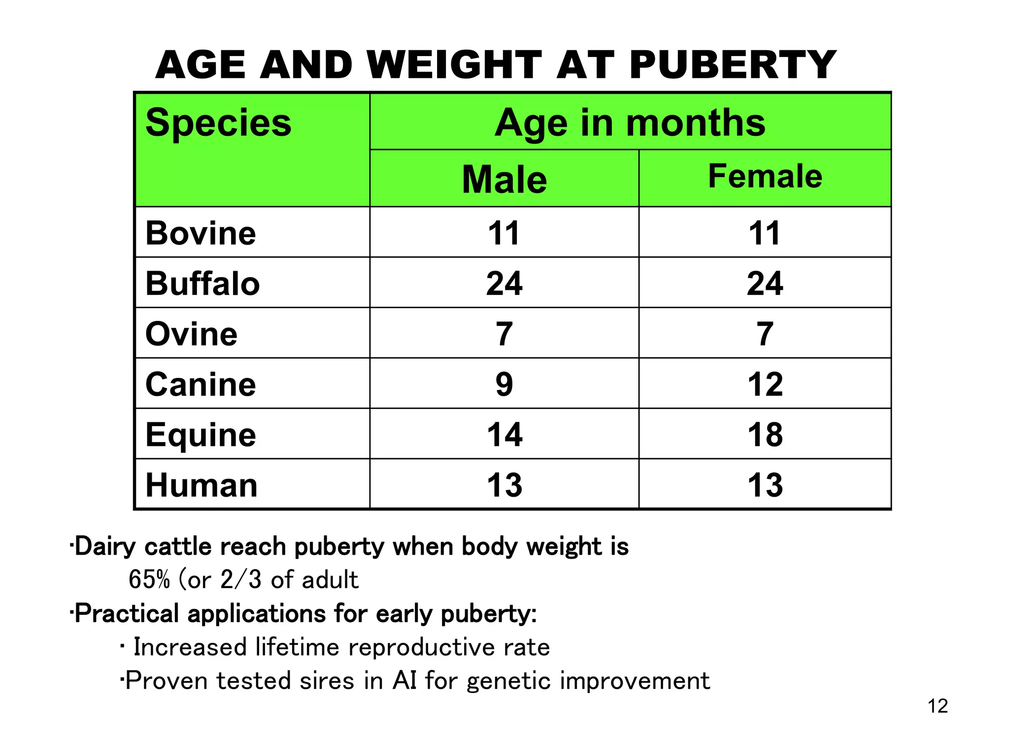 7 ther 608 # puberty | PPT