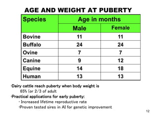 7 ther 608 # puberty | PPT
