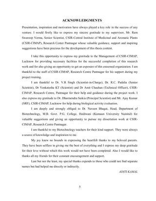 7 thesis-final | PDF