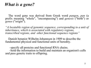 7-Transcription of DNA into mRNA and fuerhermore | PPT
