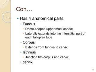 Ultrasound - US of the Non-Pregnant Uterus | PPTX