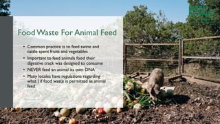 7 - Waste Management.pdf