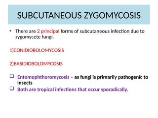 Lobomycosis, Rhinosporodiosis and Subcutaneous zygomycosis | PPTX