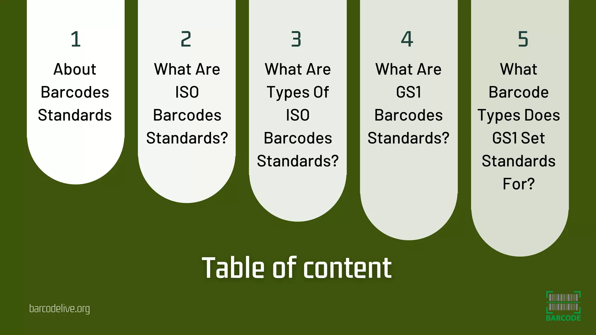 70. barcodes standards.pdf