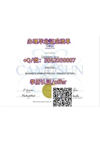 70卡莫森学院.pdf