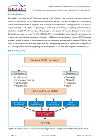 NUTREASE POWDER: Nutritional Therapy for Male & Female Fertility | PDF