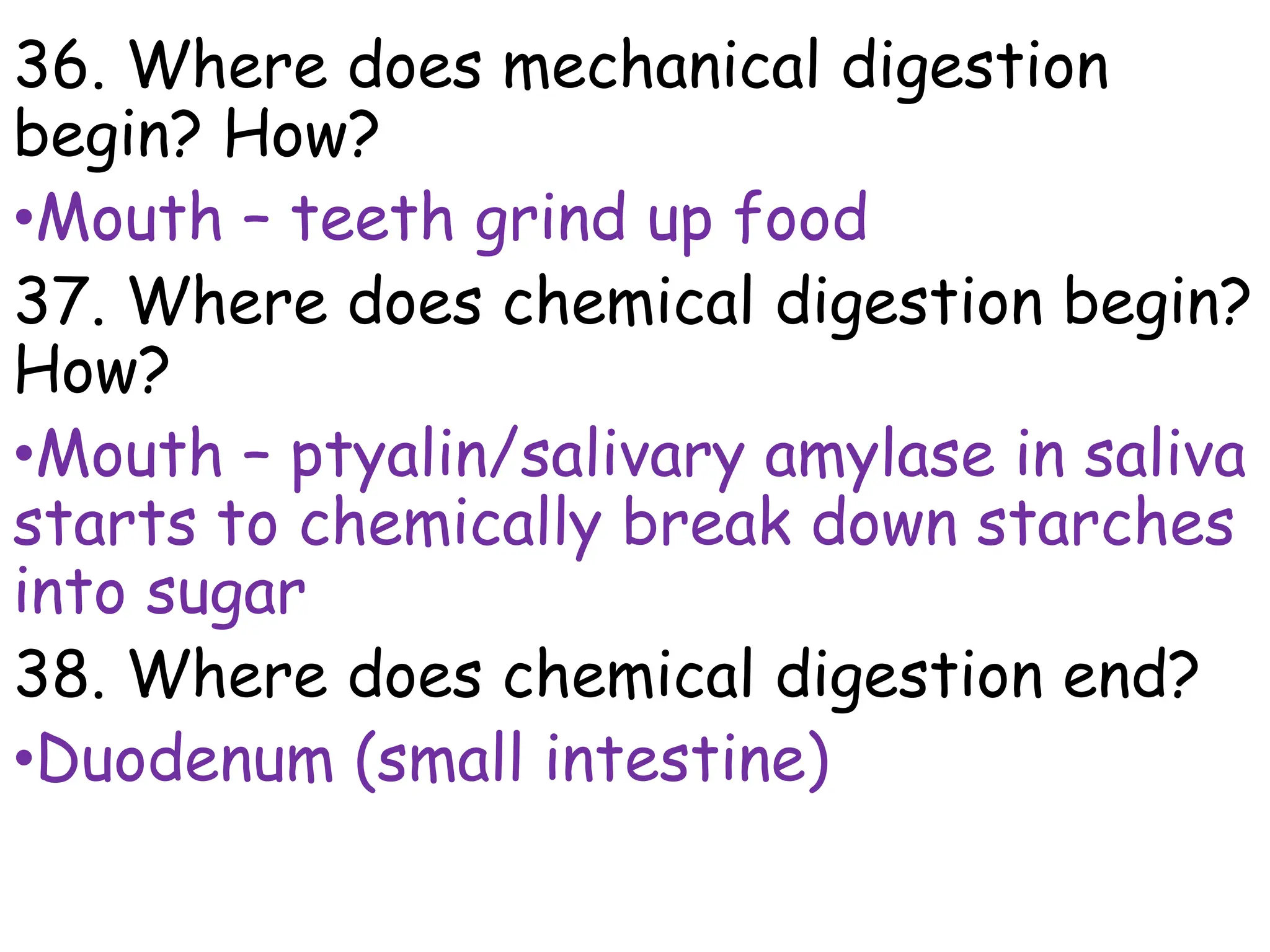 Digestive system Grade 5 igcse easy notes | PPT
