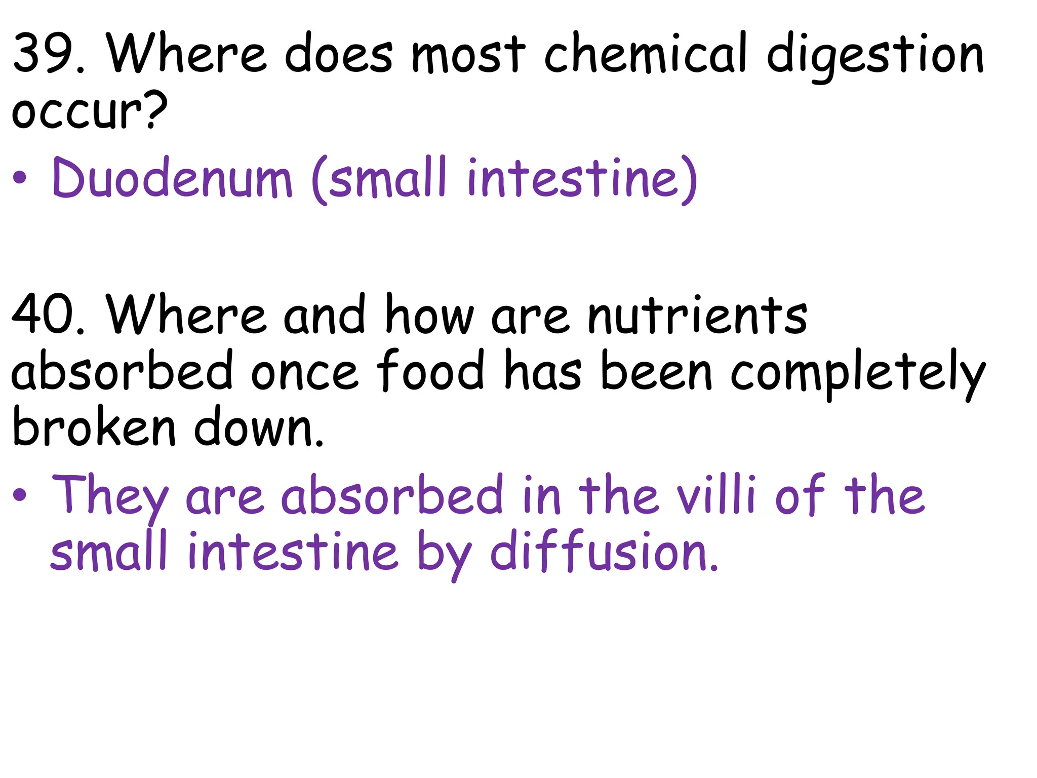 Digestive system Grade 5 igcse easy notes | PPT