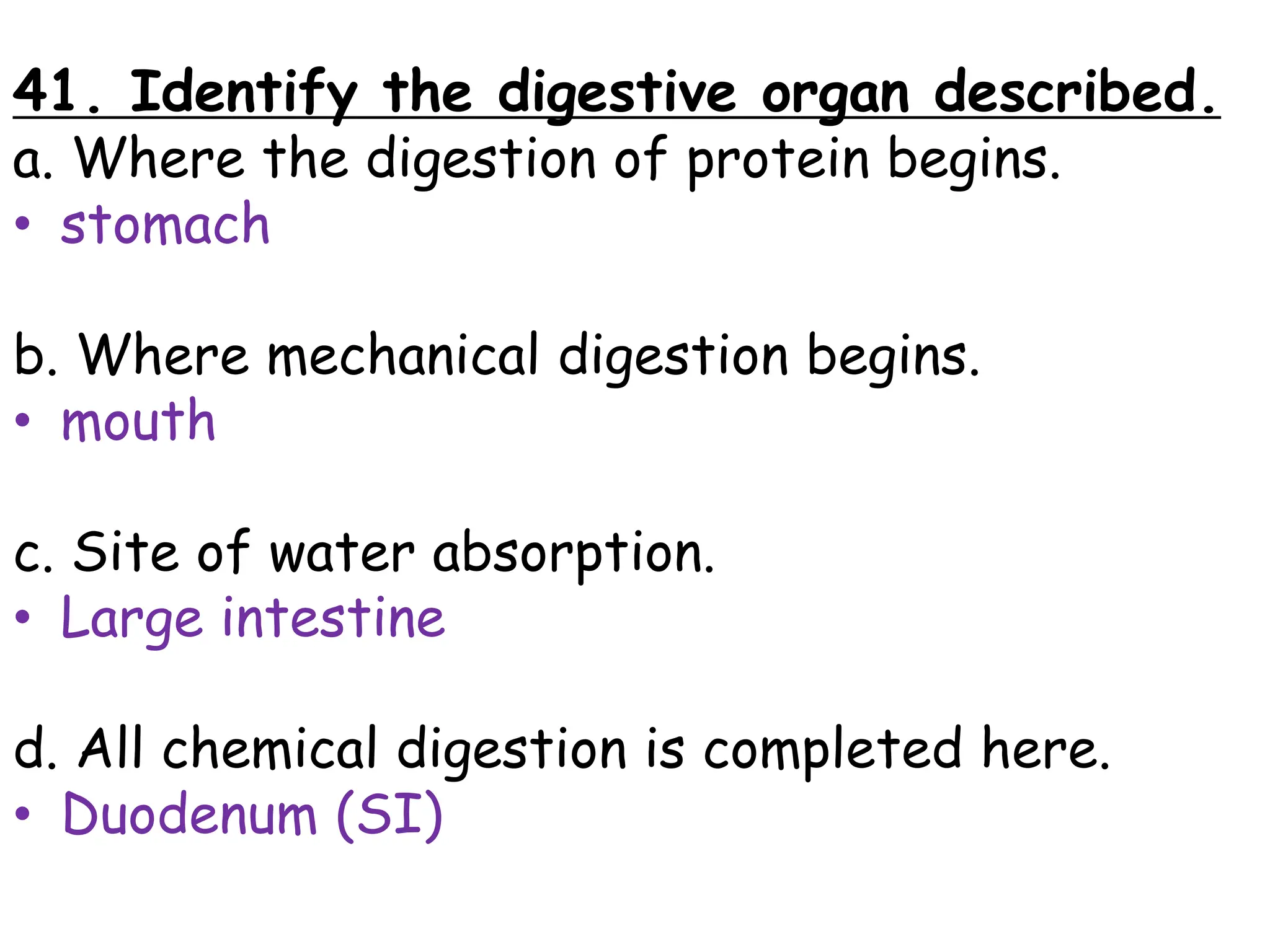 Digestive system Grade 5 igcse easy notes | PPT