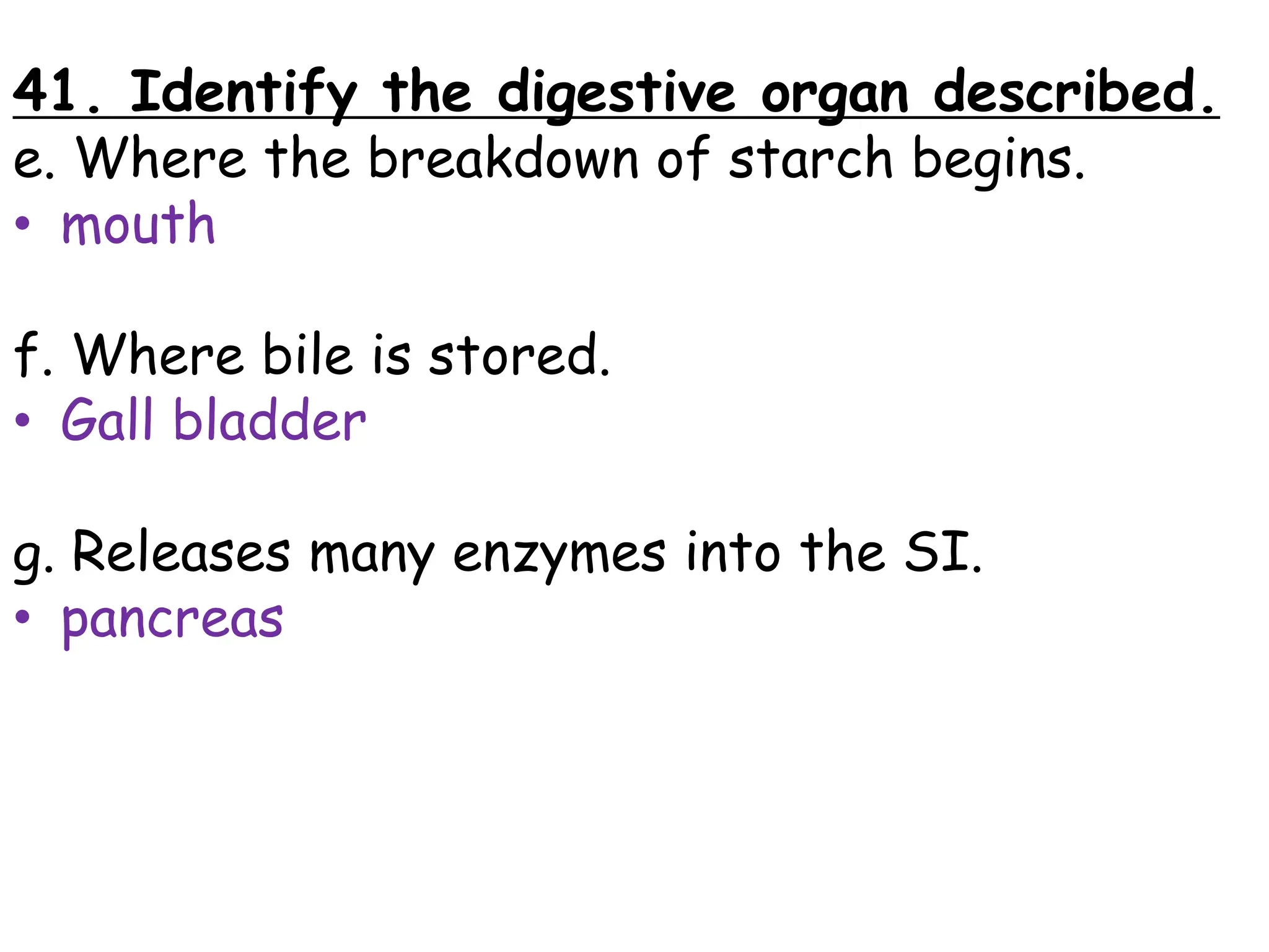 Digestive system Grade 5 igcse easy notes | PPT