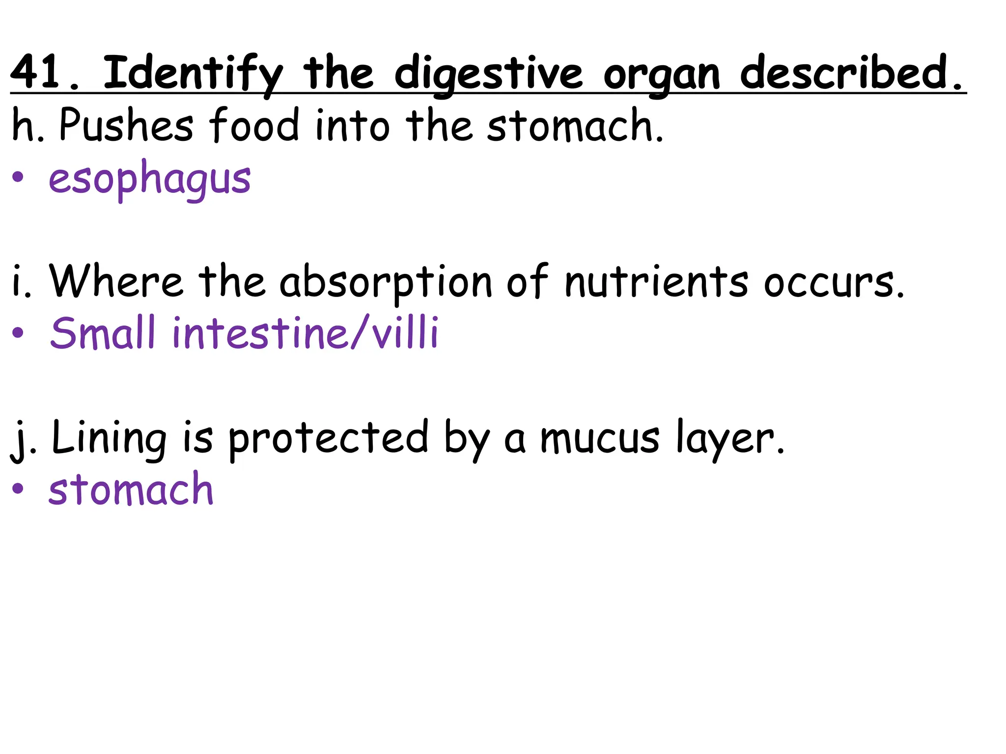 Digestive system Grade 5 igcse easy notes | PPT