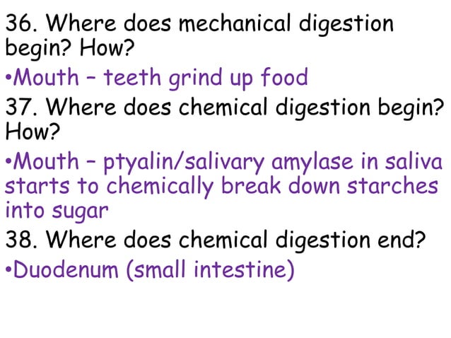 Digestive system Grade 5 igcse easy notes | PPT | Digestive Disorders ...