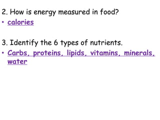 Digestive system Grade 5 igcse easy notes | PPT