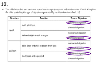 Digestive system Grade 5 igcse easy notes | PPT
