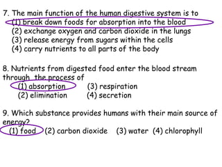 Digestive system Grade 5 igcse easy notes | PPT