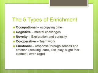 Invertebrate Enrichment Talk (second draft) | PPT