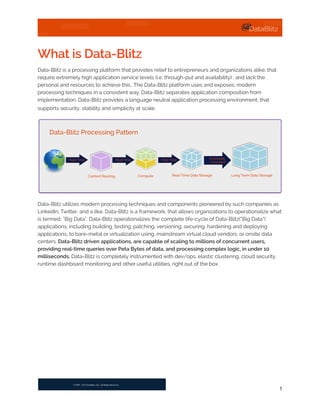 WhatIsData-Blitz | PDF