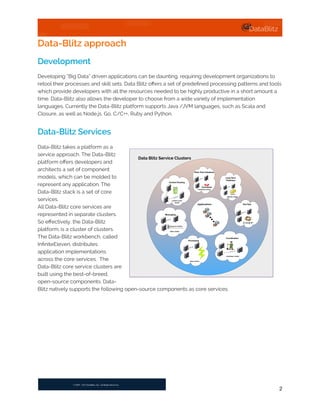 WhatIsData-Blitz | PDF