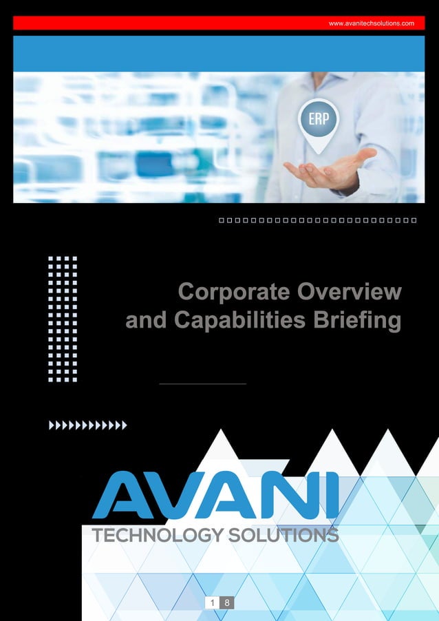 AVANI-Capabilities-Statement | PDF