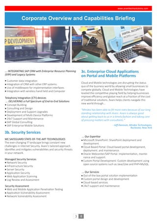 AVANI-Capabilities-Statement | PDF