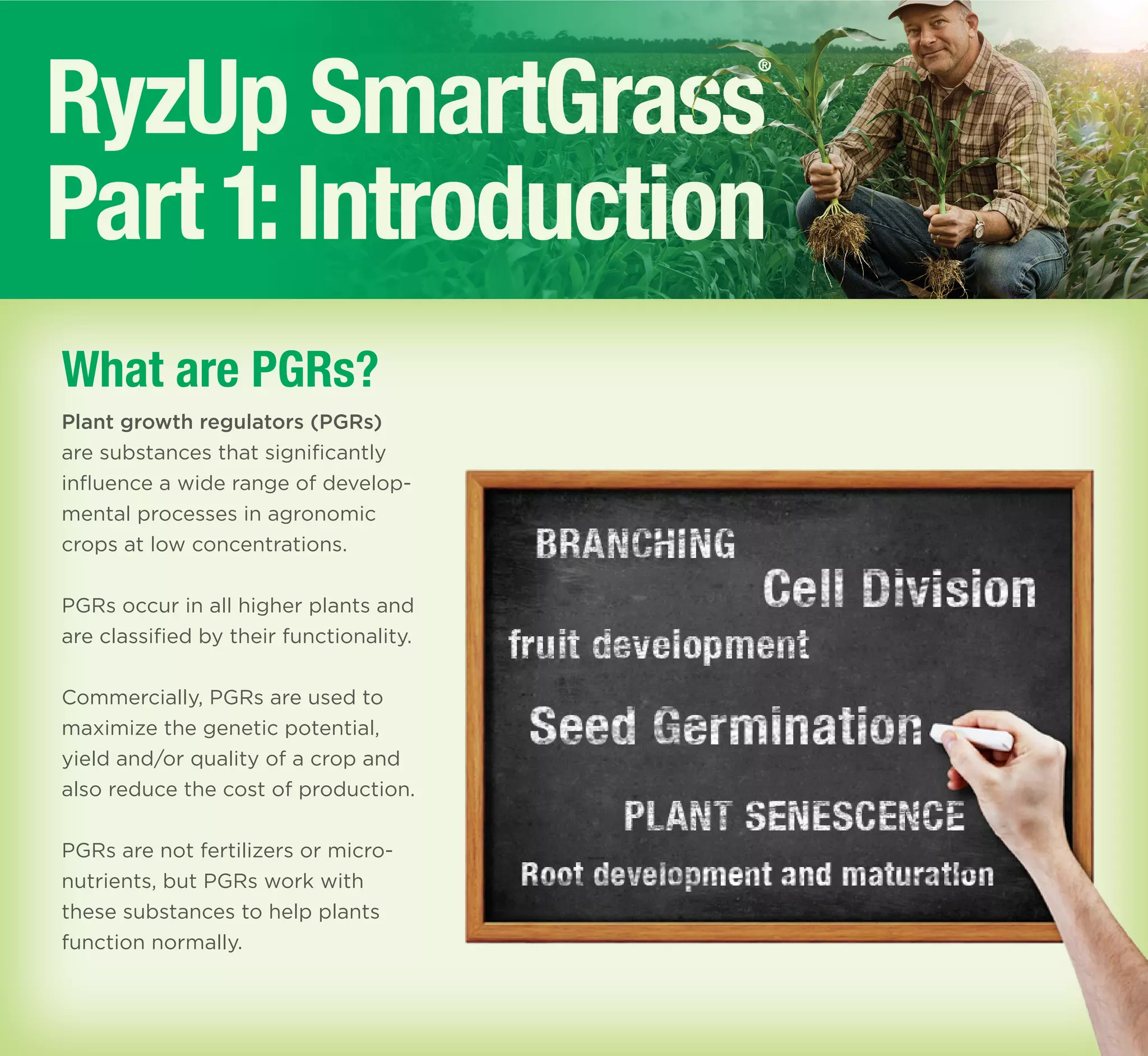 70179 ryzuptrainingmodule test_s1 | PDF