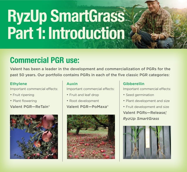 70179 ryzuptrainingmodule test_s1 | PPT