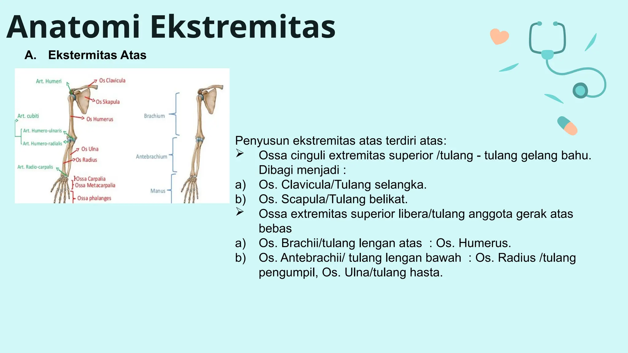 701951868-Klp-3-ppt-Pemfis-Ekstremitas.pptx